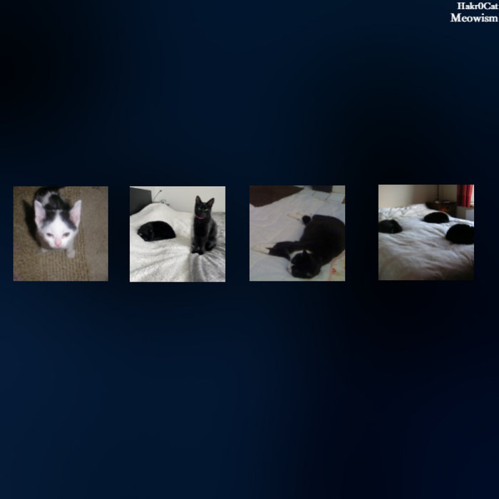 Meowism | Hakr0Cat