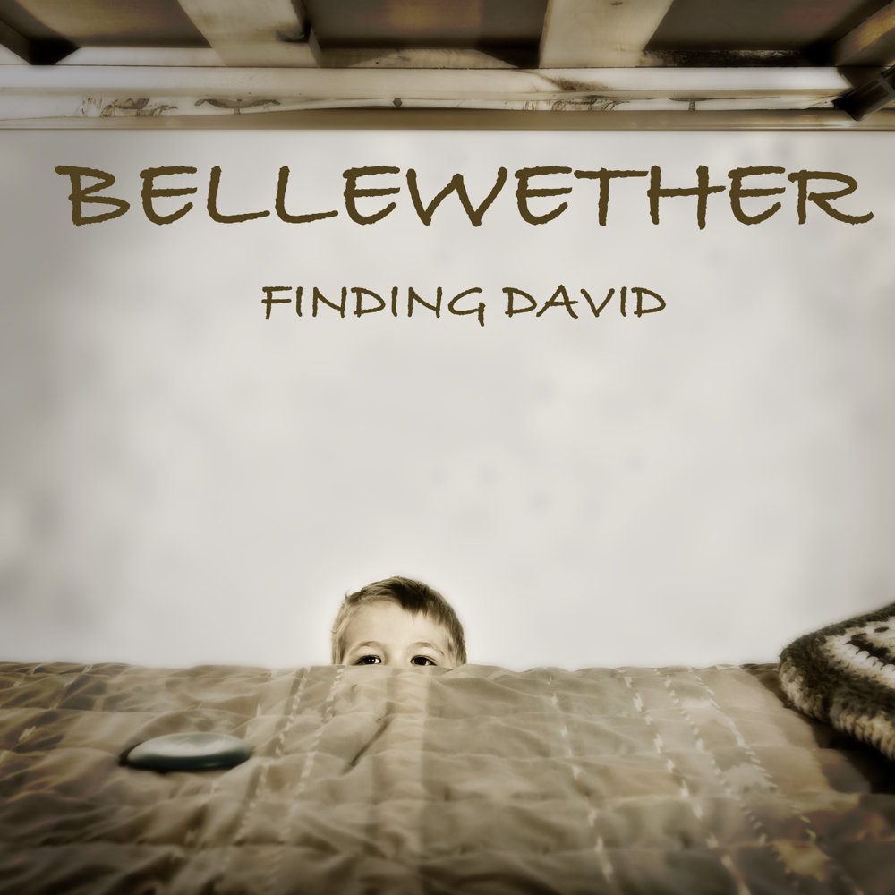 Finding David | Bellewether