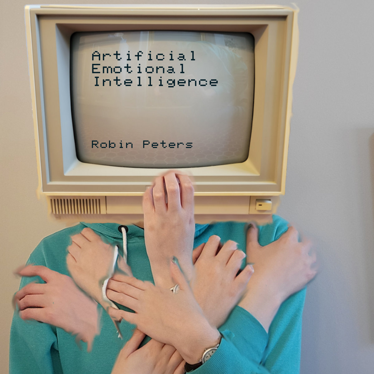 Artificial Emotional Intelligence | Robin Peters