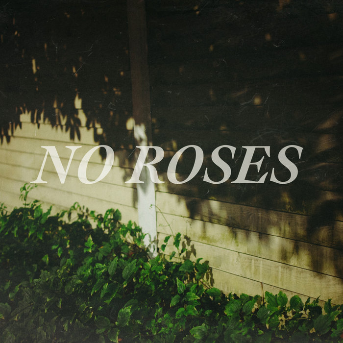 No Roses | Jincallo