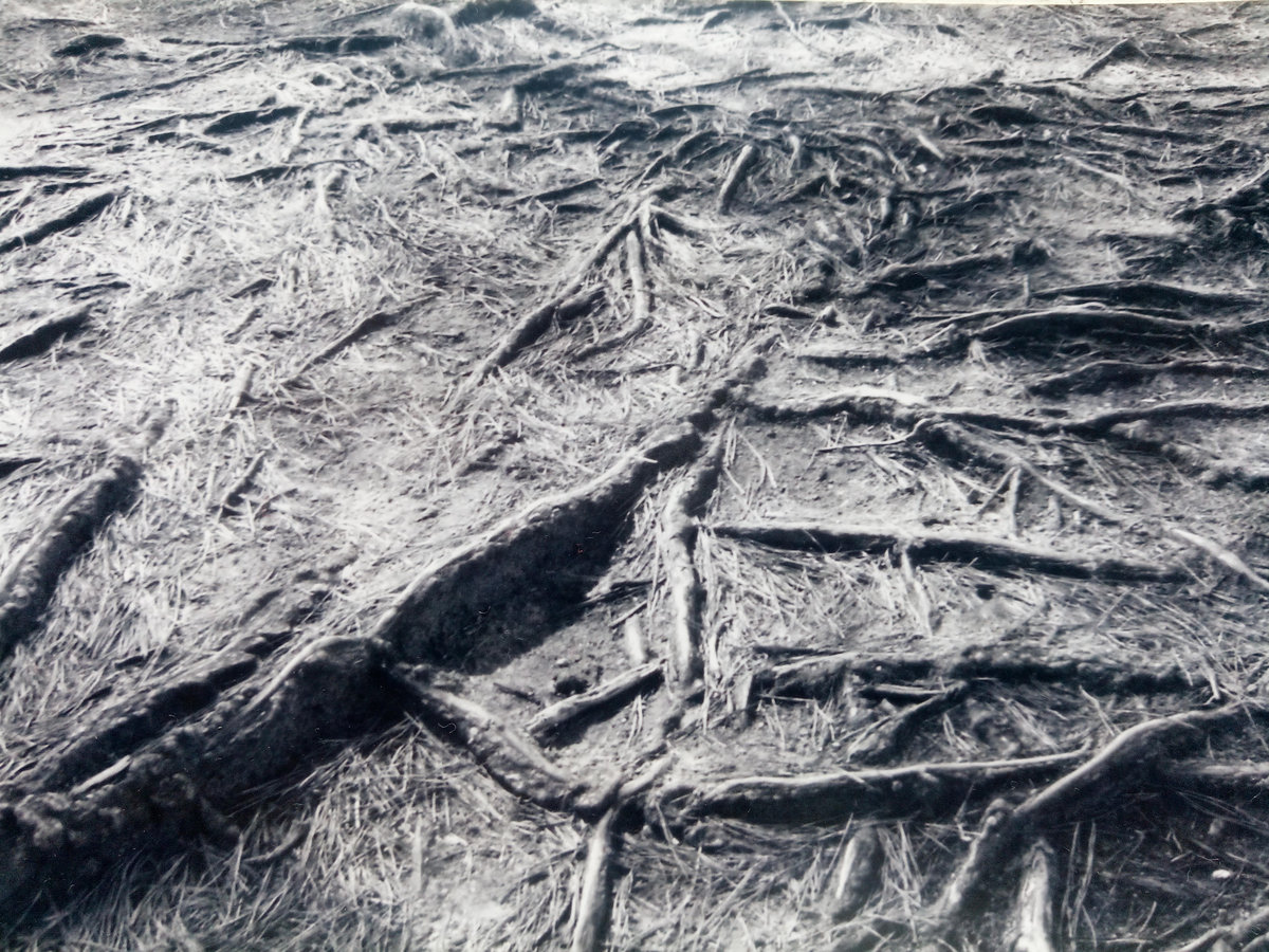 Une Voie | Jean-Marc Foussat & Jean Tinnirello | Jean Tinnirello