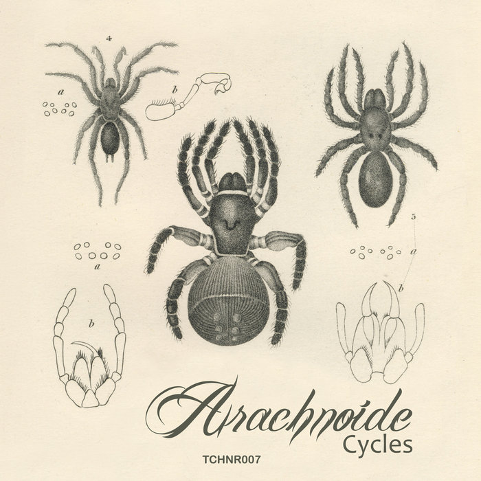 Arachnoïde "Cycles" Ep. | TCHNR