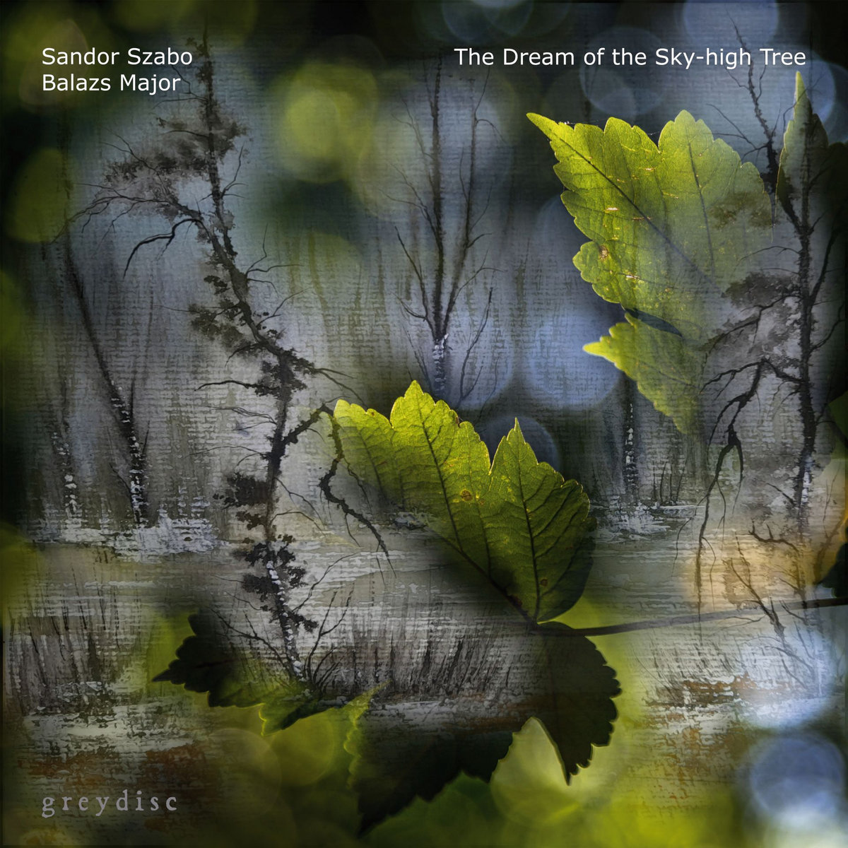 The Dream of the Sky-high Tree | Sandor Szabo/ Balazs Major | Sándor Szabó