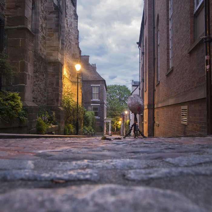 North Bailey, Durham City [International Dawn Chorus Day, Reduced Mix ...