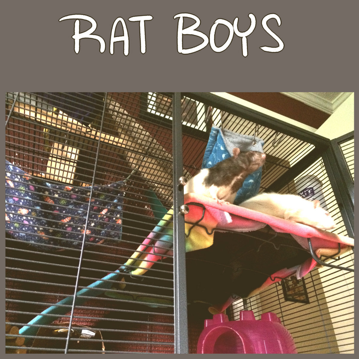 Rat Boys | Sailer and Ftagn | Secret