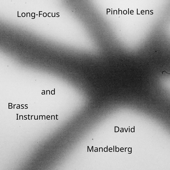 Long‐Focus Pinhole Lens and Brass Instrument | David Mandelberg