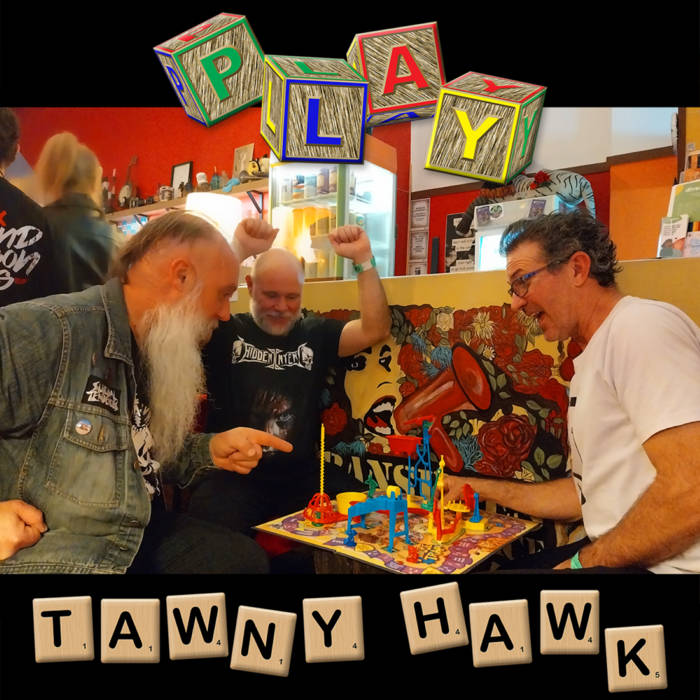 Play | TAWNY HAWK
