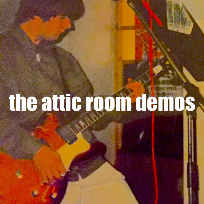 the attic room demos | Chevron Action Flash