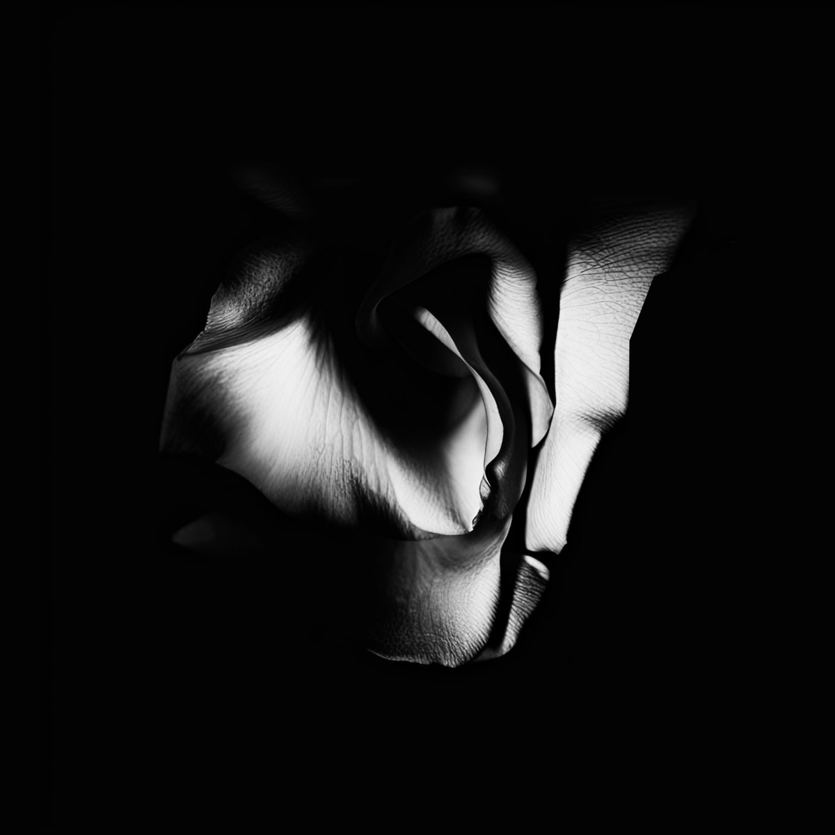 Consume | Anna Sitko