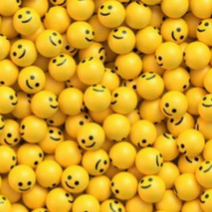the giggles | the giggles