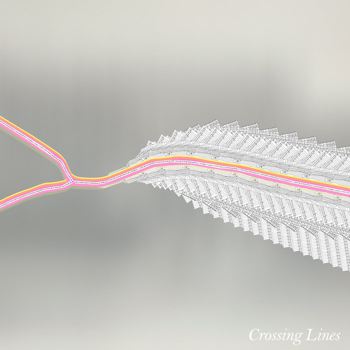 Crossing Lines | NX Records