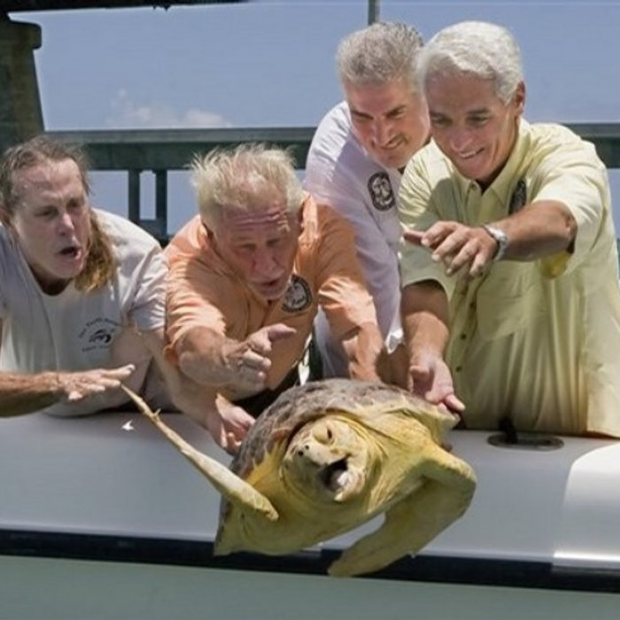 Répondueur | Sébastien Côrriveau et les autres | Sébastien Côrriveau