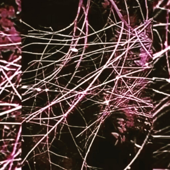 ...Transverberations in the Furthest Echelon | Reflective Anguish