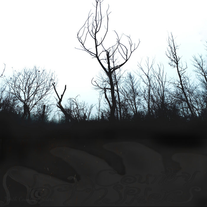 North Country Spiders | North Country Spiders | solemnland