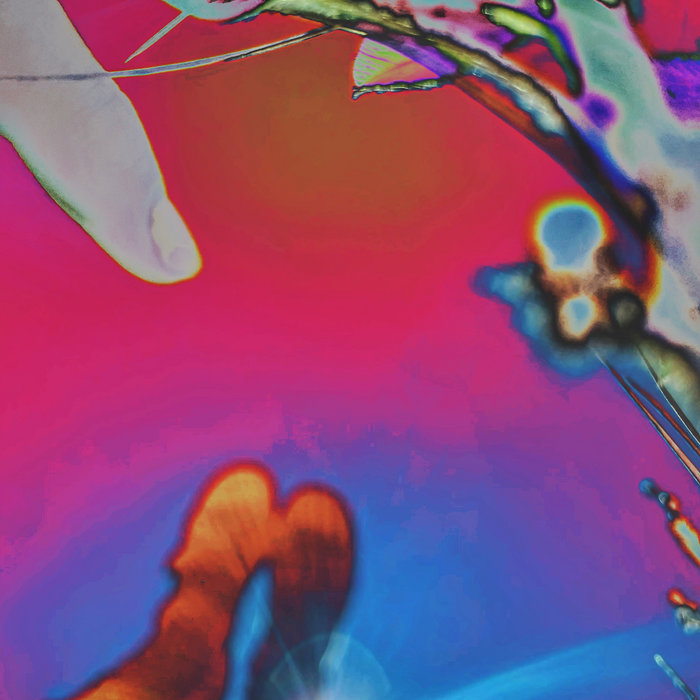 Time of Your Life | Midnight Moon