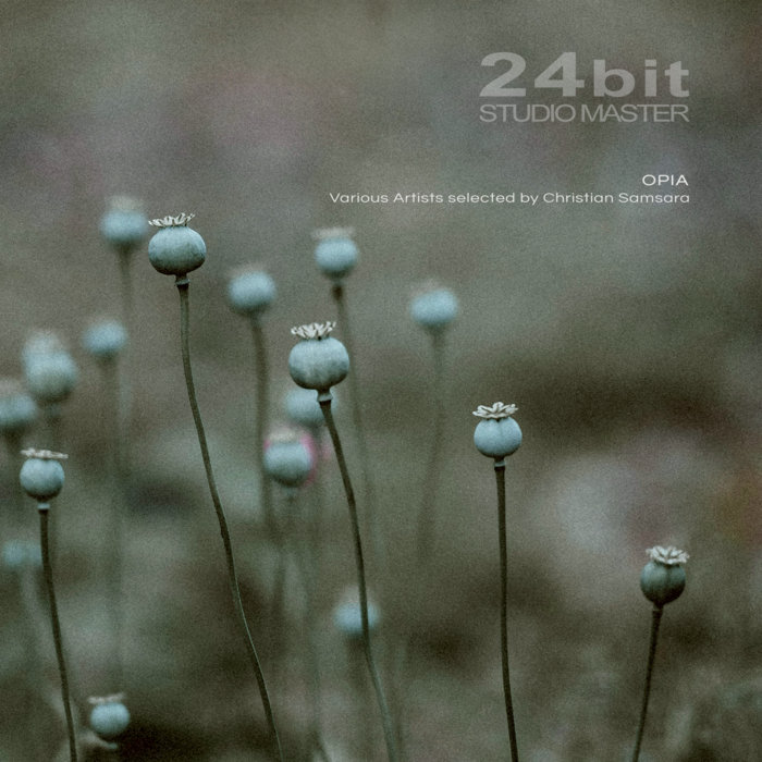 OPIA (24bit) | Various Artists | Ultimae