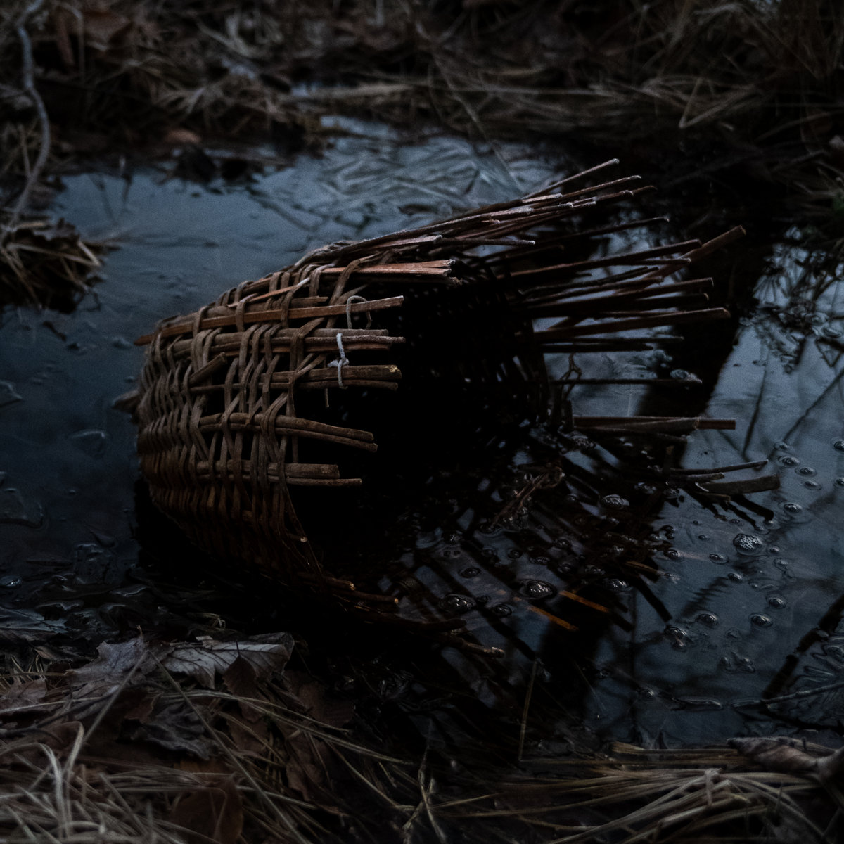 Massimo Silverio - Surtùm | Massimo Silverio | Okum