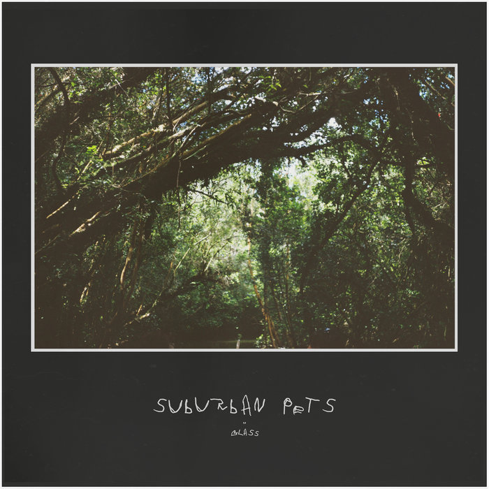Glass | Suburban Pets