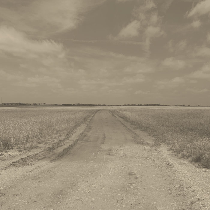 Fellowship of the Arid Plain | Sarah Ruth | Sawyer Spaces