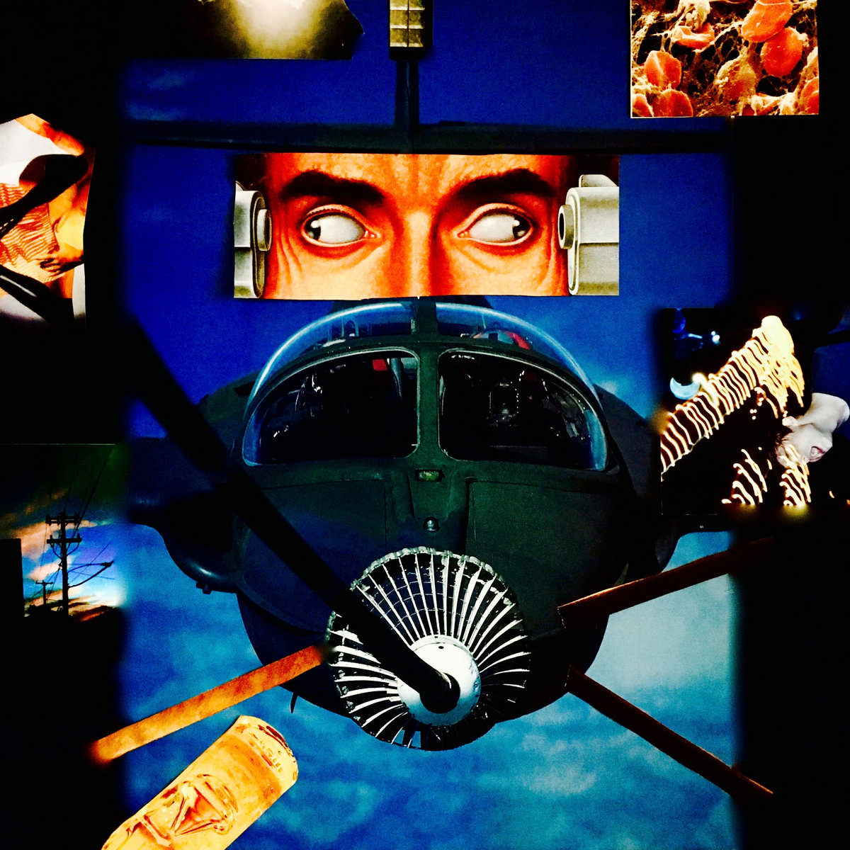 the pleasure point presents: glib | The Pleasure Point