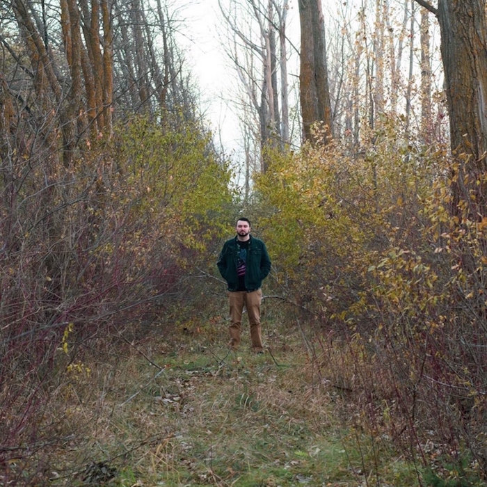 Nostalgia | Field Galaxy