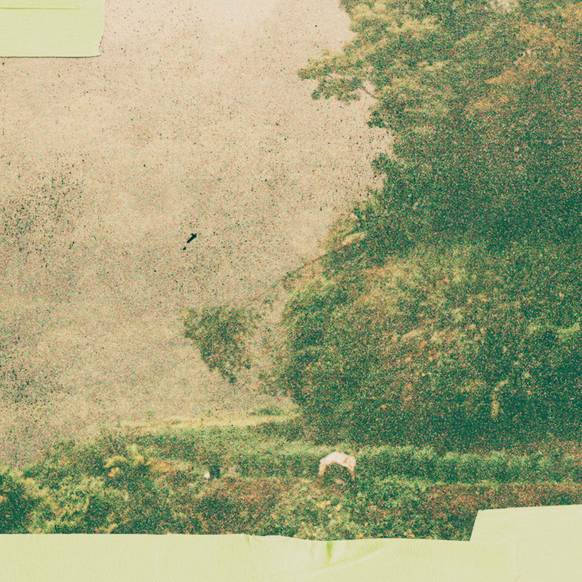 Shadow Moves | Craig Chambers