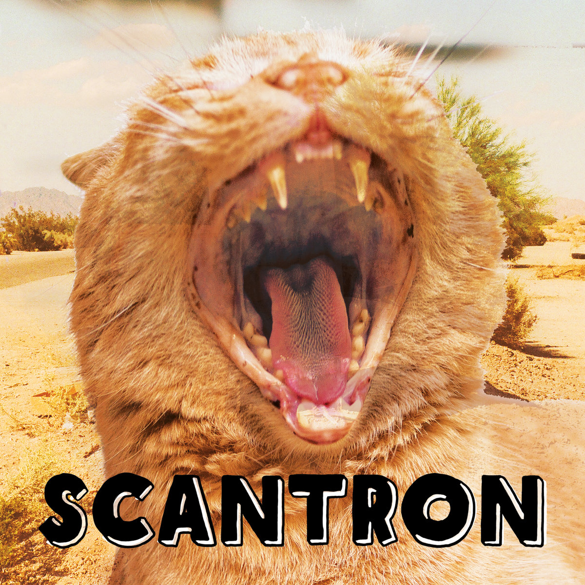 Scantron EP | SCANTRON