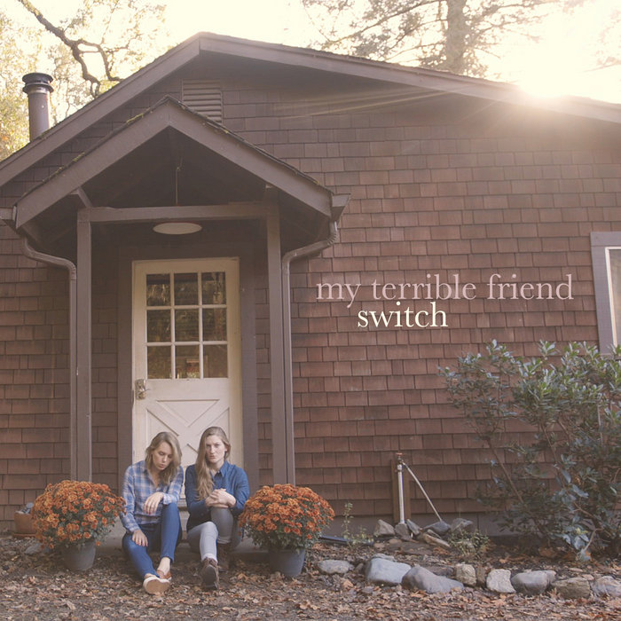 Switch | My Terrible Friend