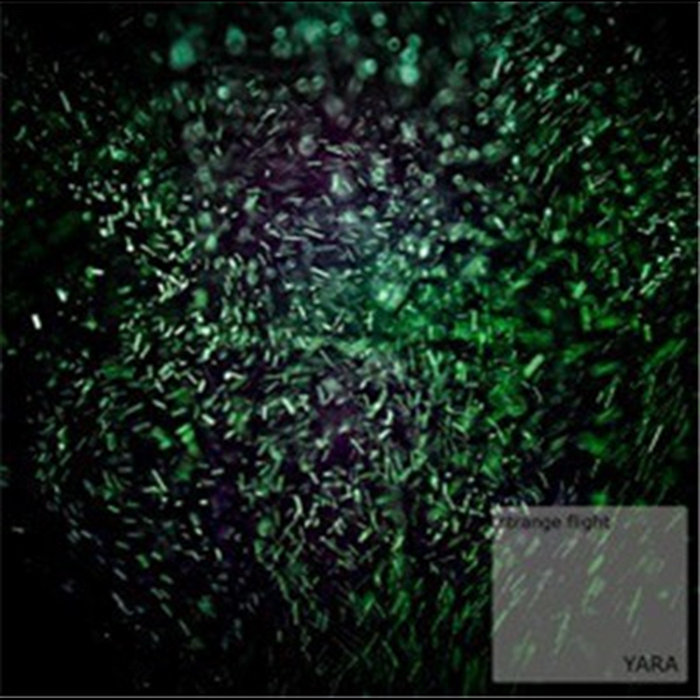 Strange Flight | Yara (8)