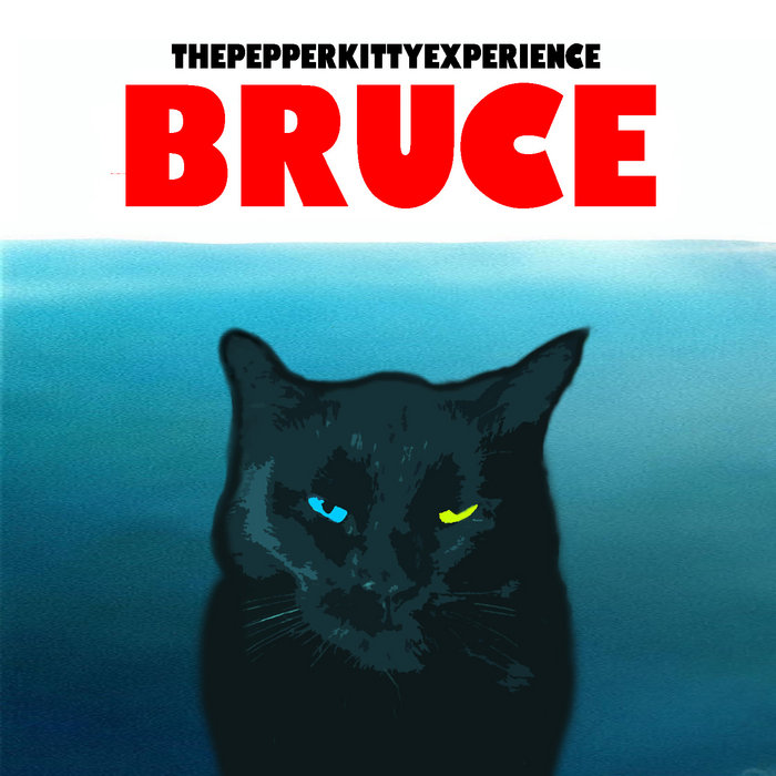 BRUCE | The Pepper Kitty Experience