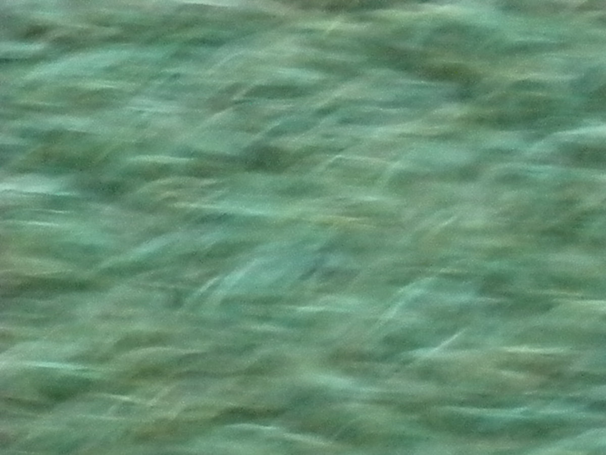 grass pillow | SQTHRX