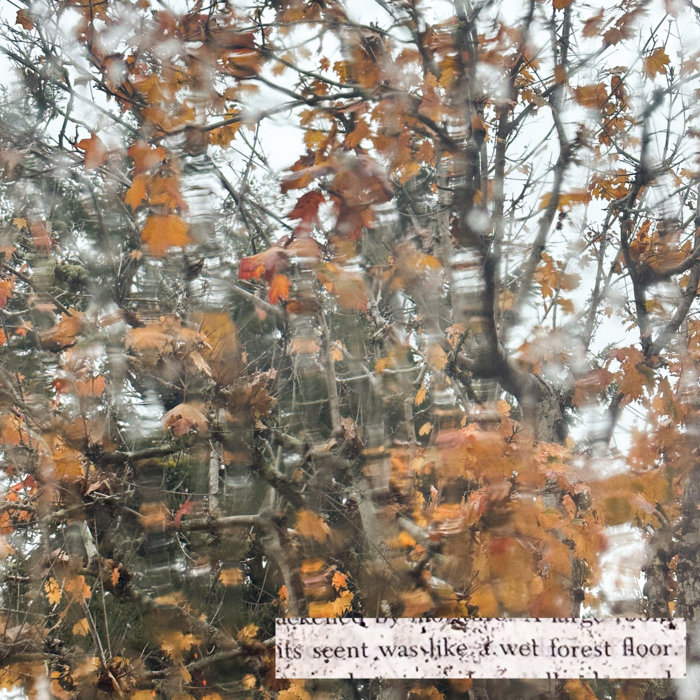 audio collage | audio collage