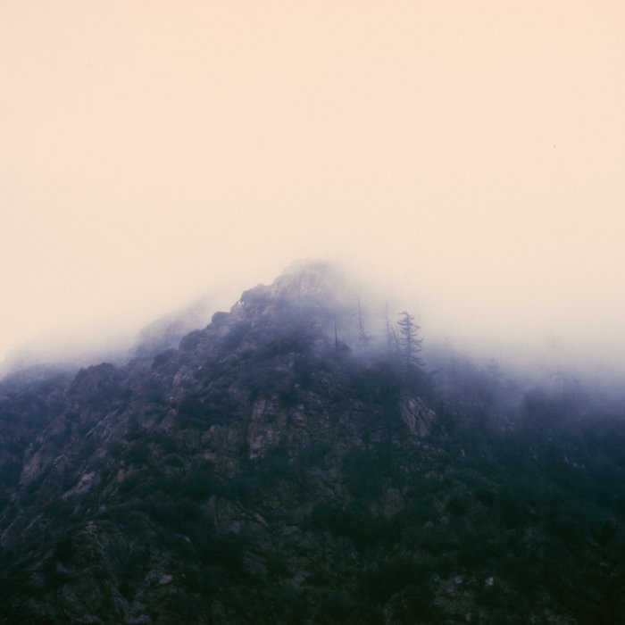 Press, Release | Mike Butera