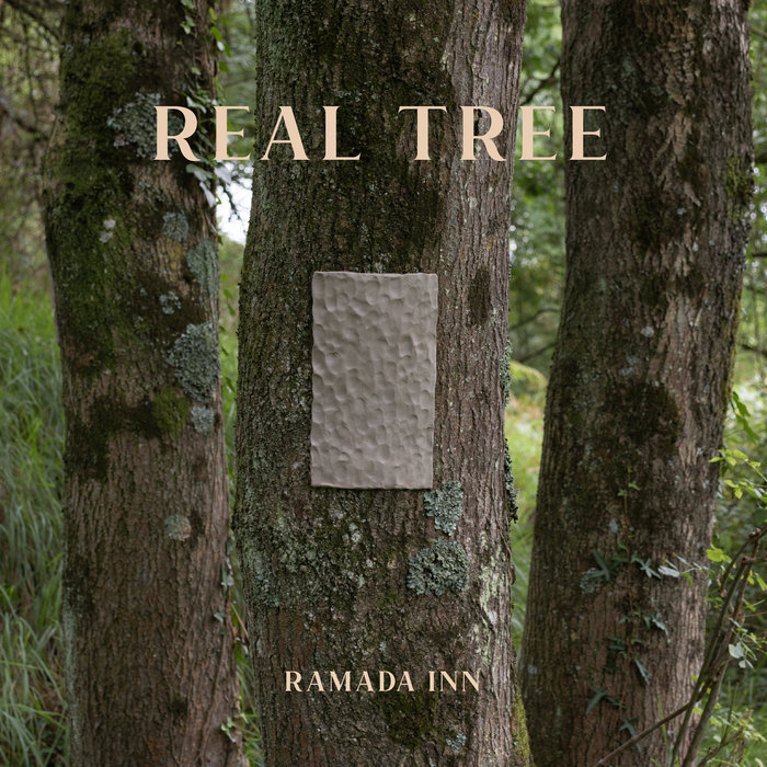 Real Tree | Ramada Inn