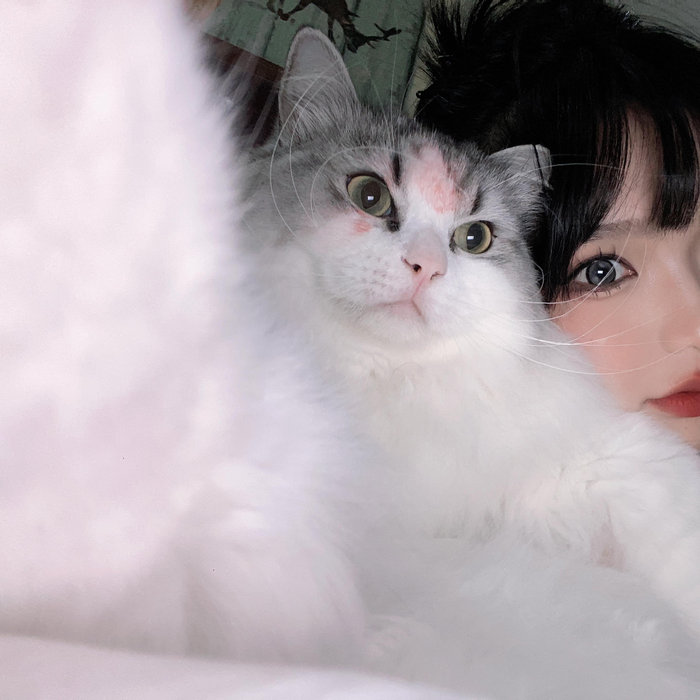 小貓 | 蘭乙 | Showstart-release