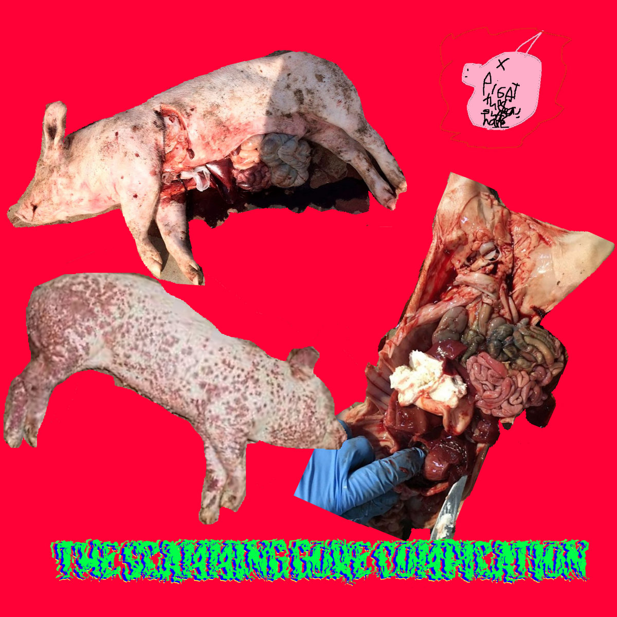 The Slamming Gore Compilation | pig at the slaughterhouse