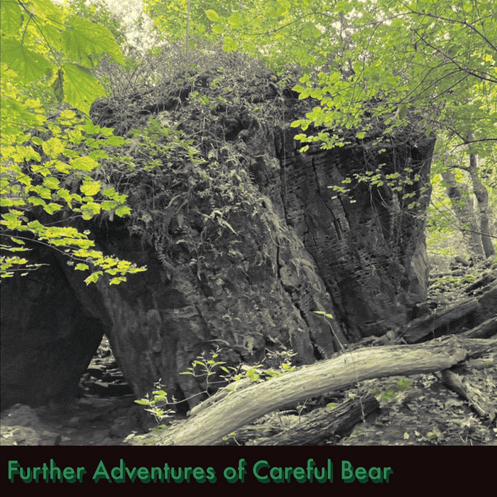 Further Adventures of Careful Bear | careful bear