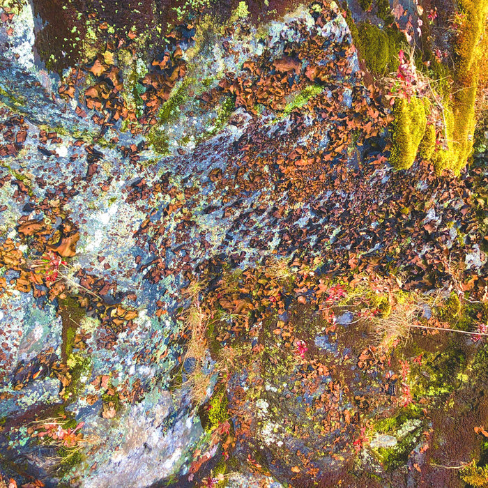 Field Patterns | Field Patterns | Aural Canyon