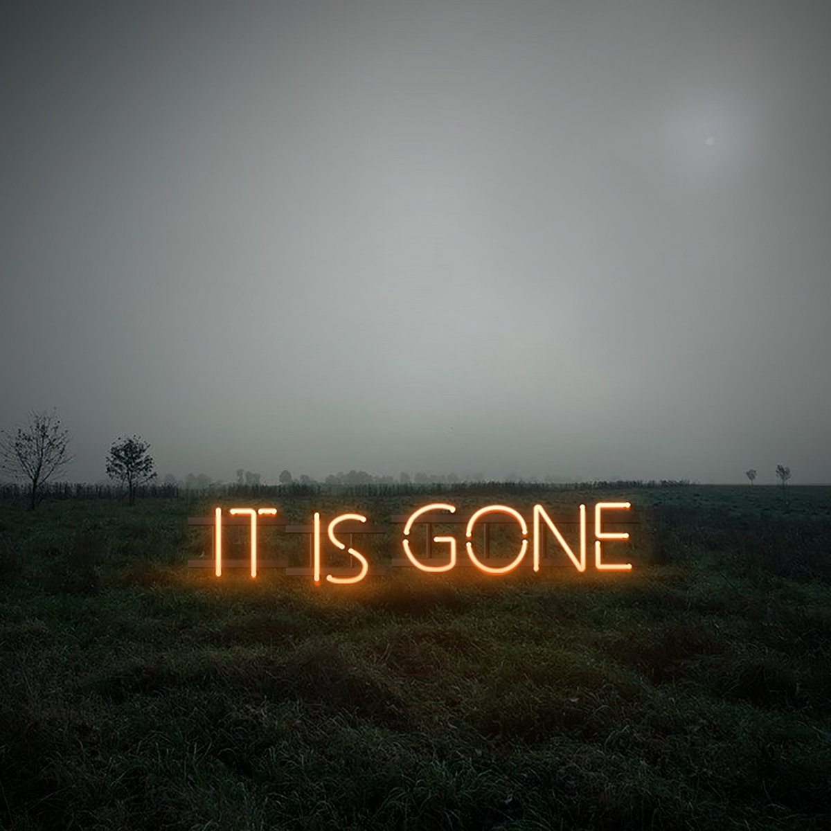 It Is Gone | Krista Shows