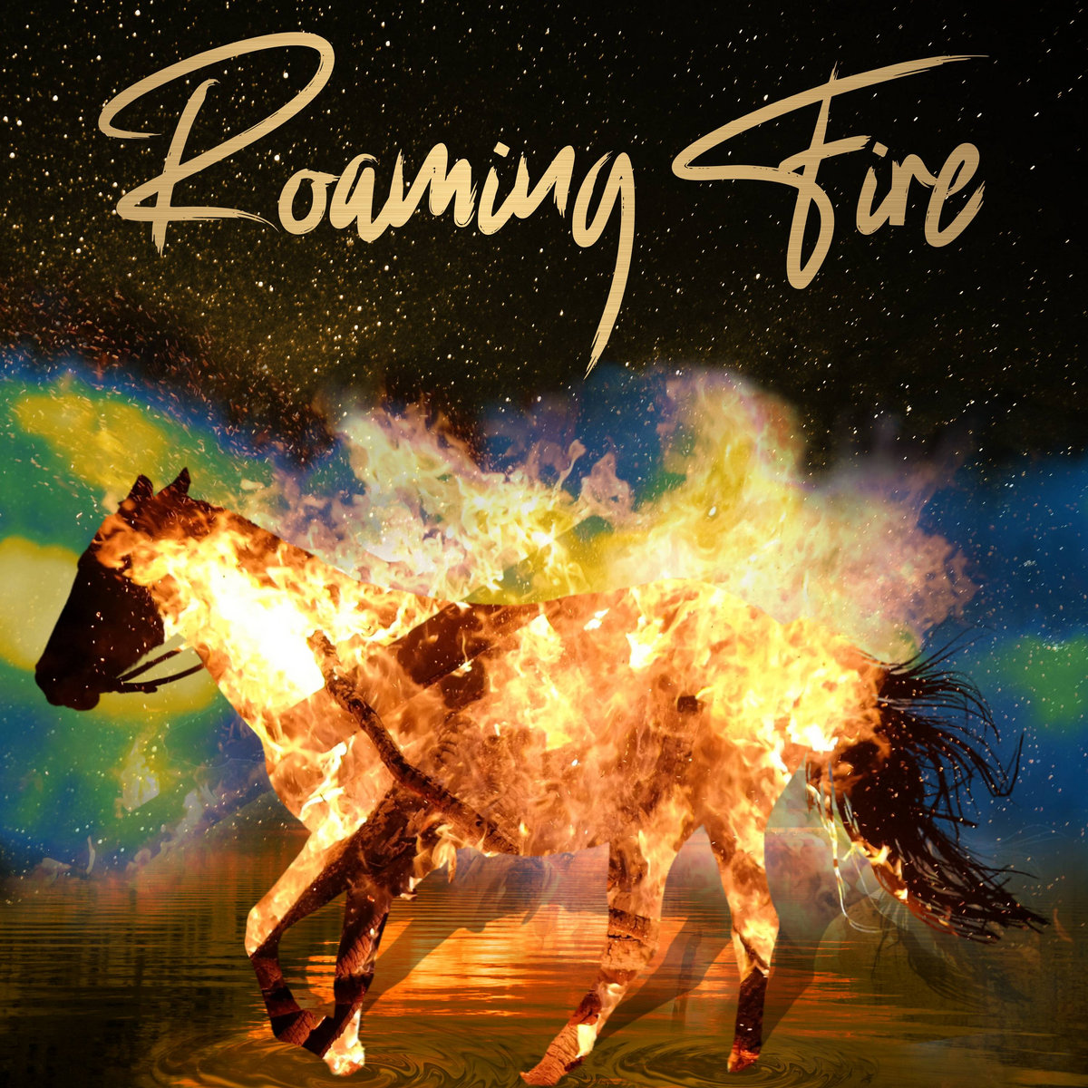 Dark Horse | Roaming Fire