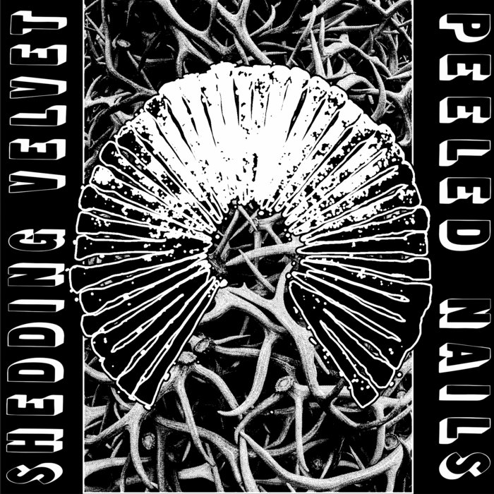 Shedding Velvet / Peeled Nails | Peeled Nails, Shedding Velvet ...