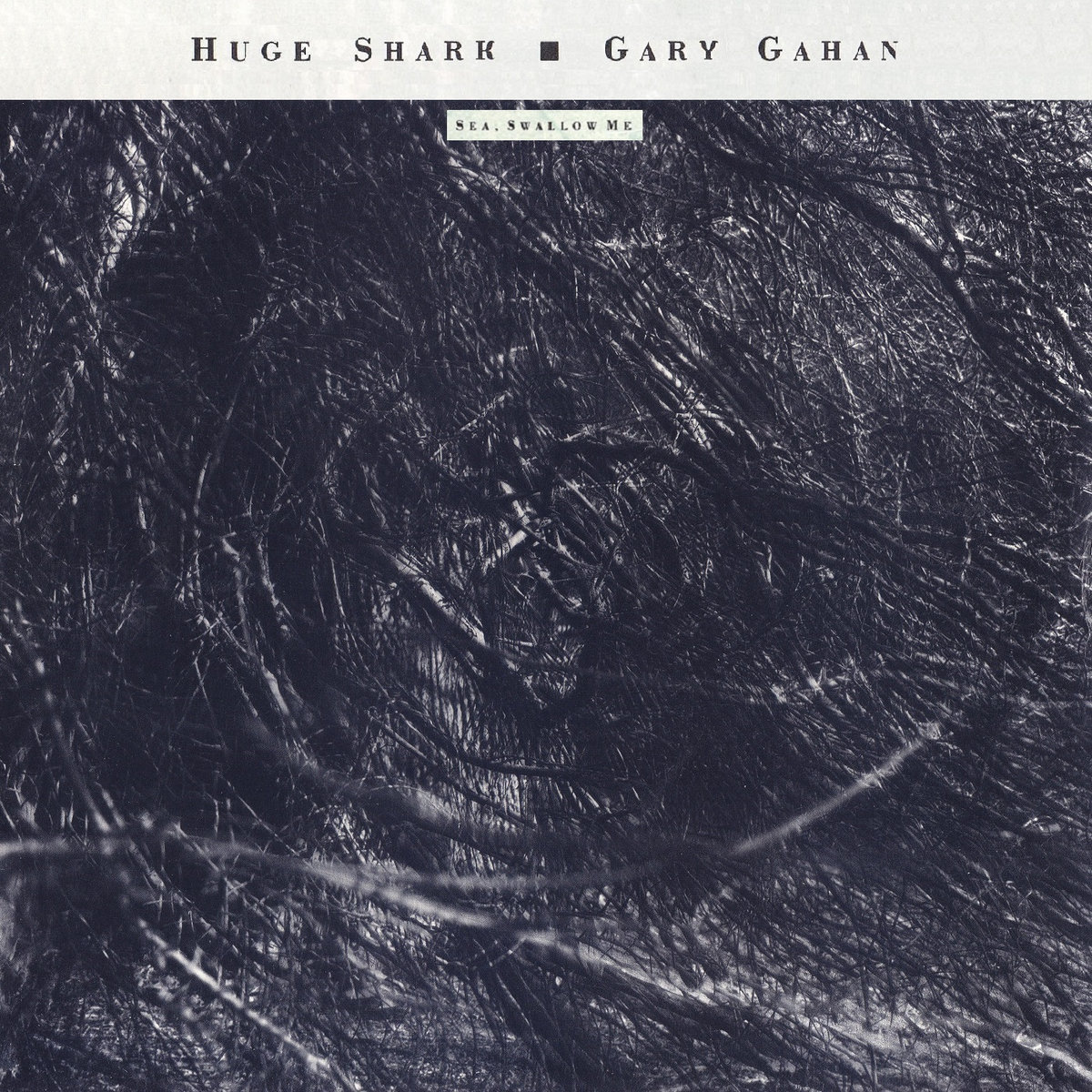 Sea, Swallow Me | Huge Shark | Gary Gahan
