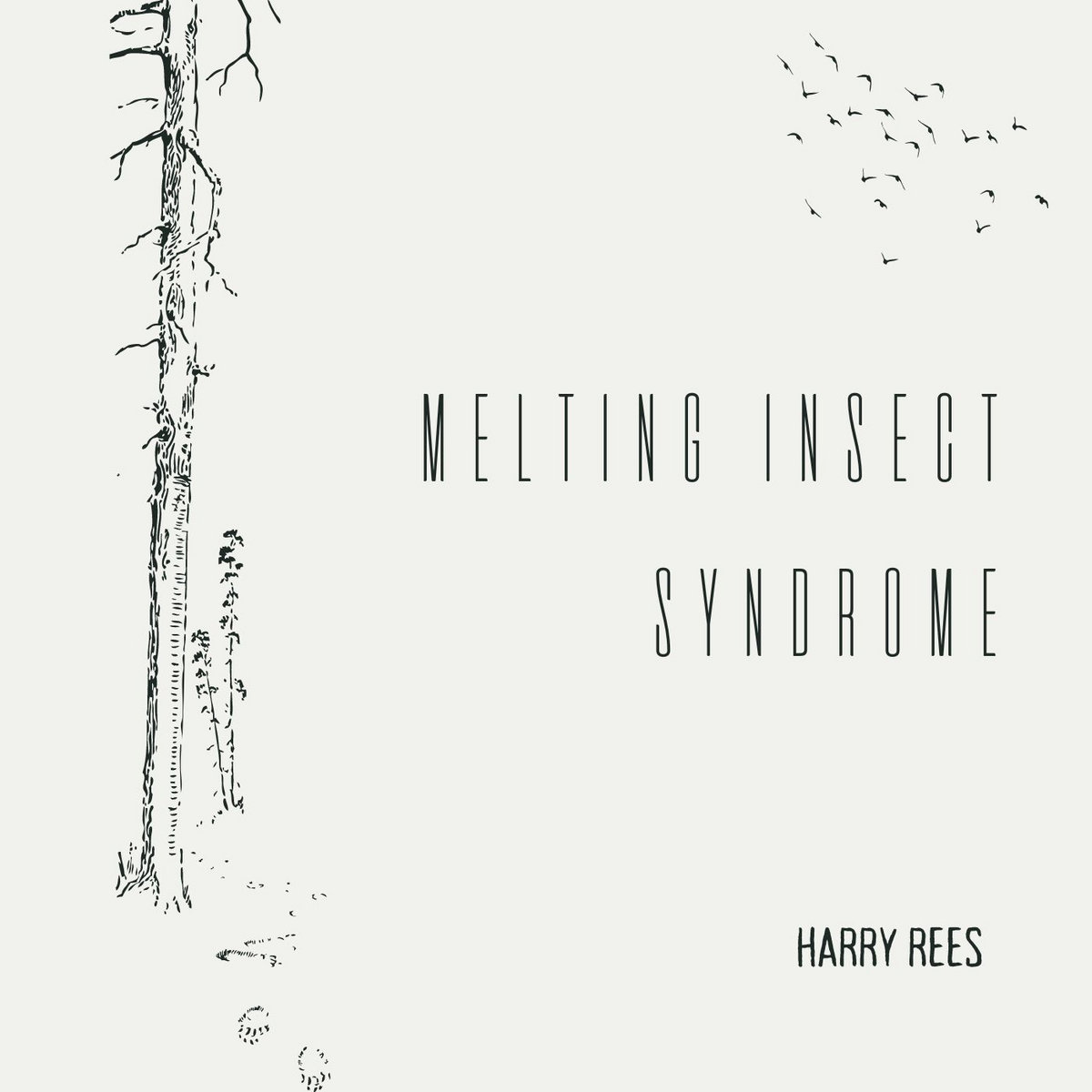 Melting Insect Syndrome | Harry Rees