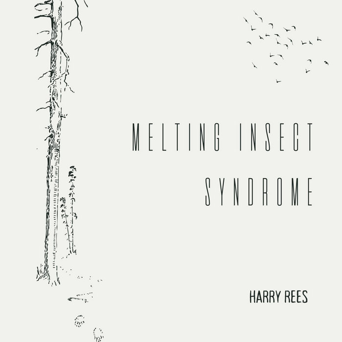 Melting Insect Syndrome | Harry Rees