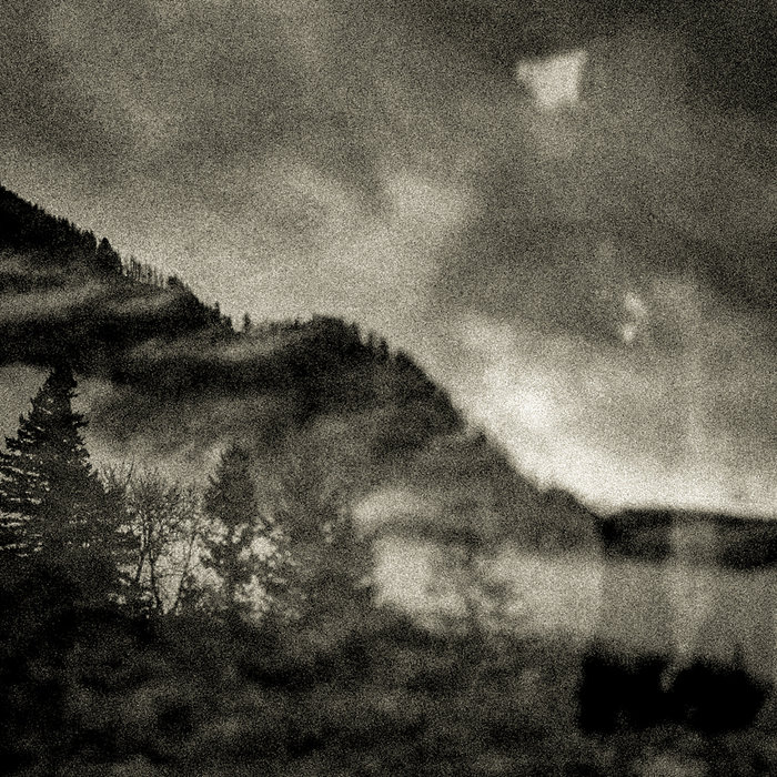 Bleeding Into The Sea | anothernight