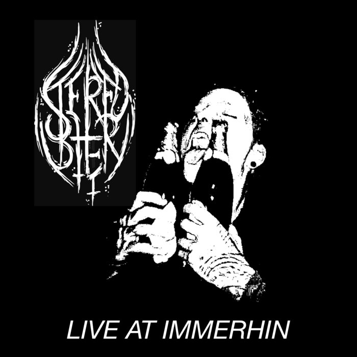 Live at Immerhin | Stereobier