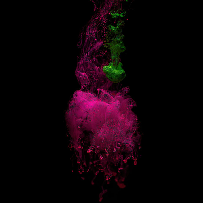 The Future, Tense | Jay Hosking