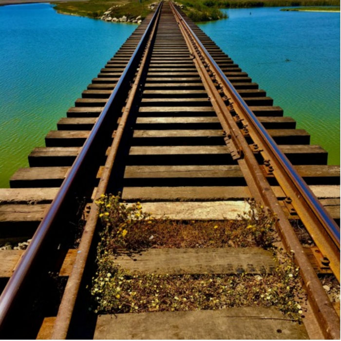 Semillas de chamico | Goan | All of Them