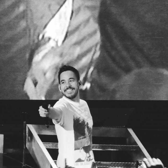 obtained | Harold Haley