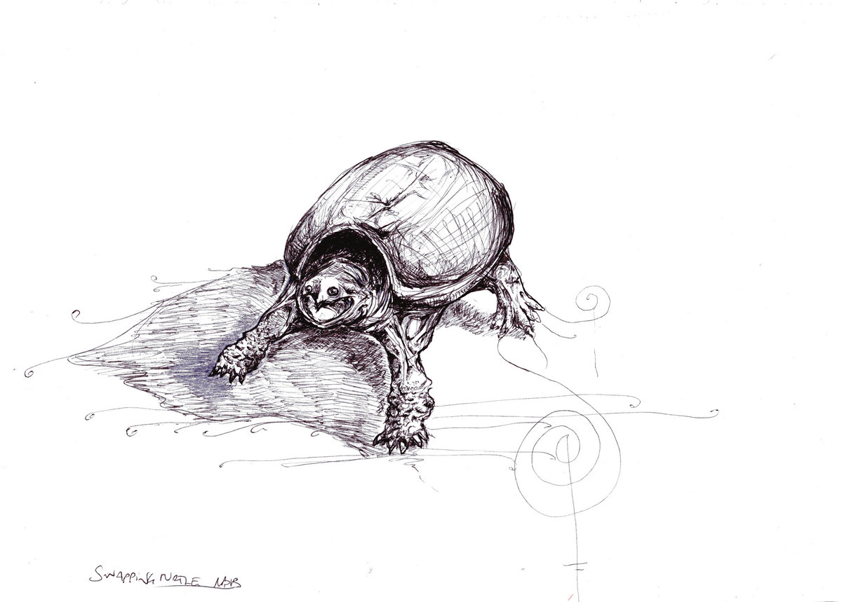 Snapping Strings | Henry Raby | Helping Hand Records